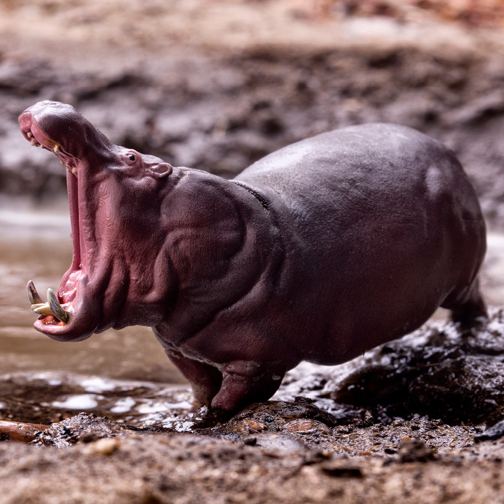 PNSO Popo the Hippopotamus Small 201009