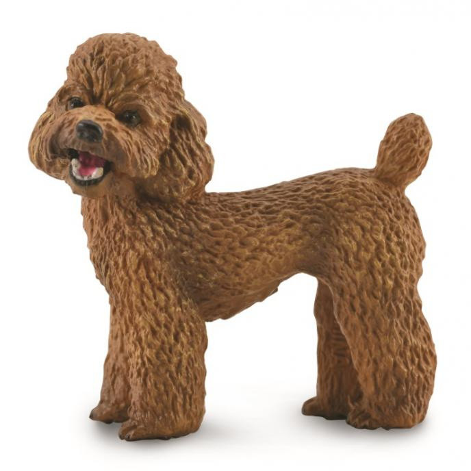 CollectA Dog and Cat Figurines | Best Price Guarantee