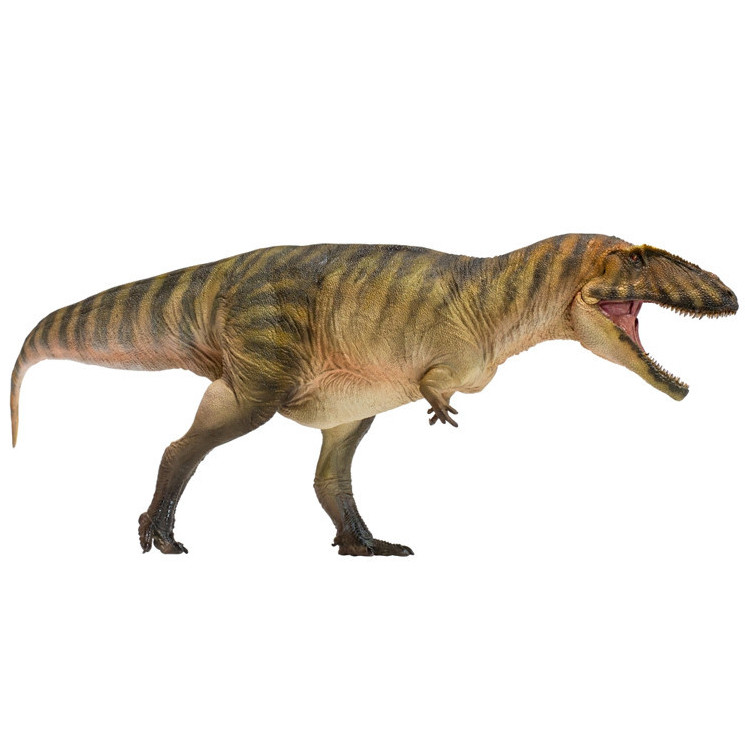 PNSO Gamba The Carcharodontosaurus | MiniZoo Dinosaurs