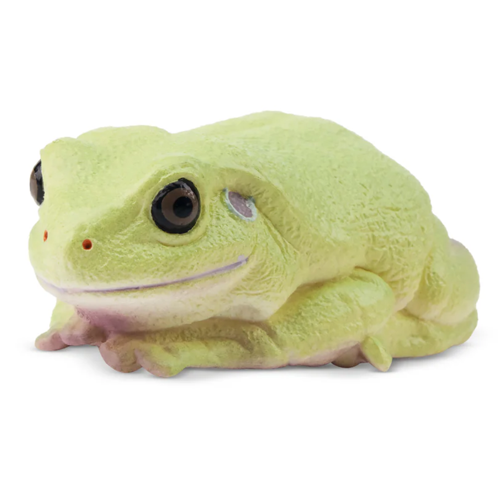 Toymany Australian Green Tree Frog | Realistic Frog Figurines