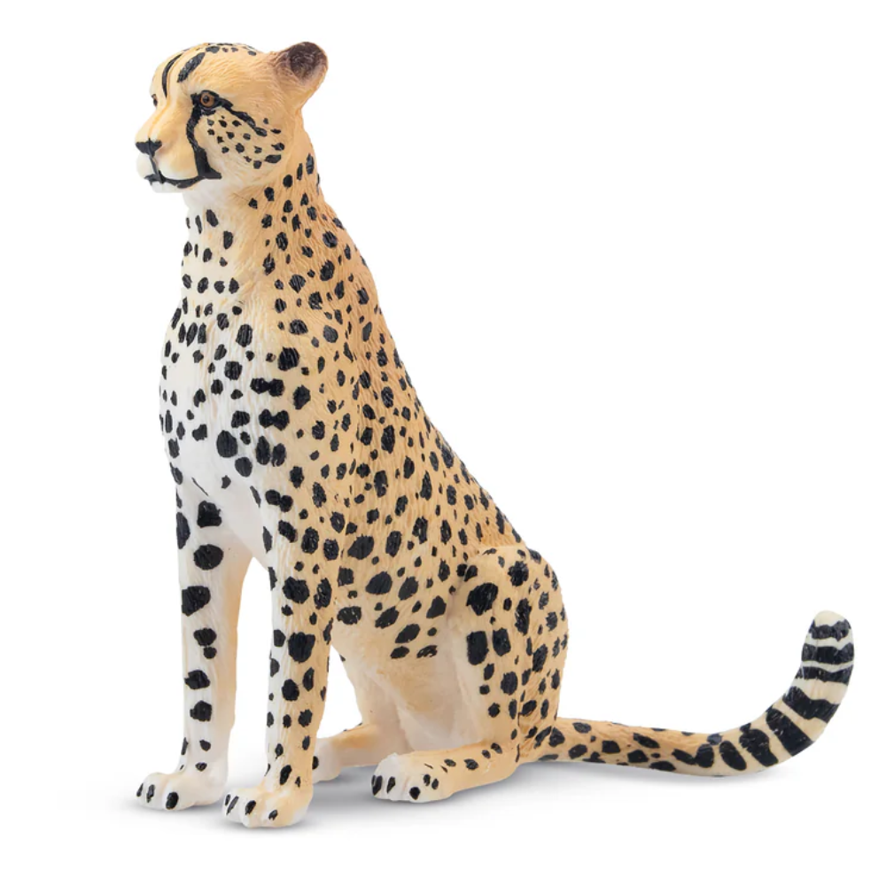 Toymany Cheetah Female Sitting | Realistic Cheetah Figurines