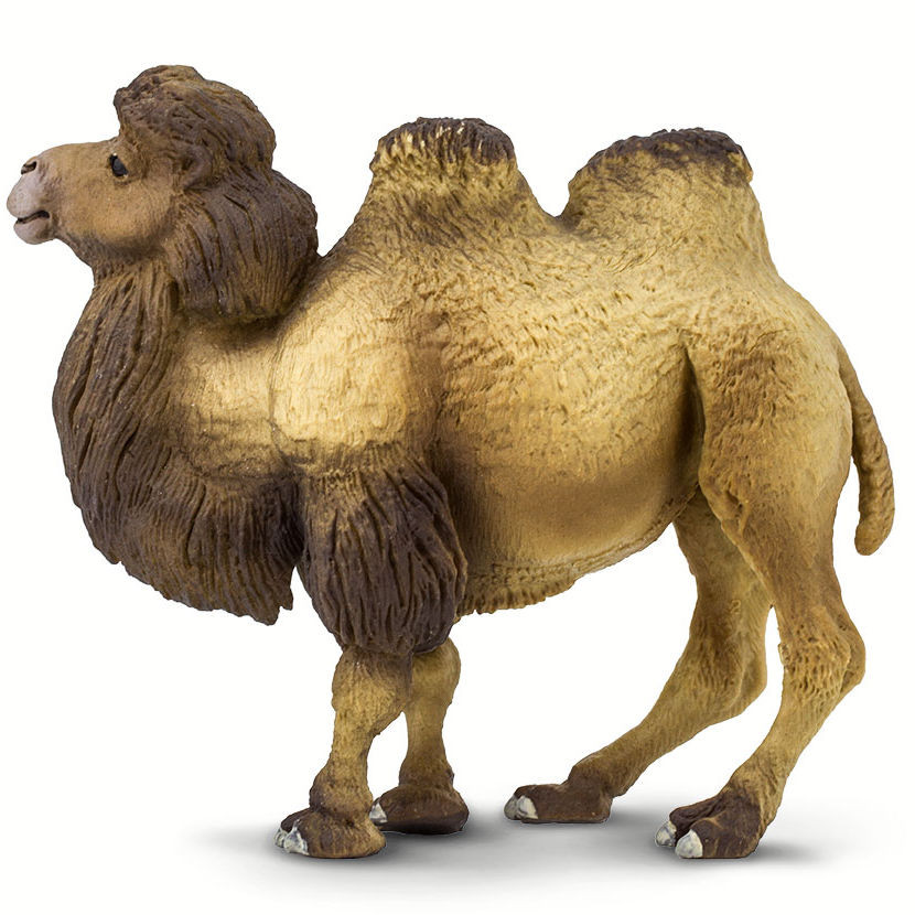 Safari Ltd Bactrian Camel 290929 | Wildlife