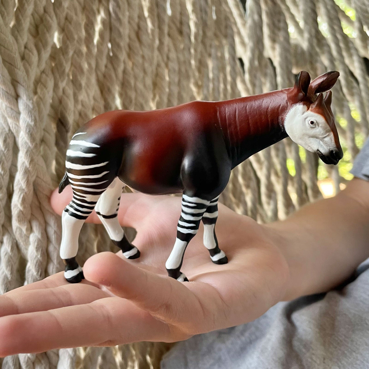 Safari Okapi | MiniZoo Model Animals