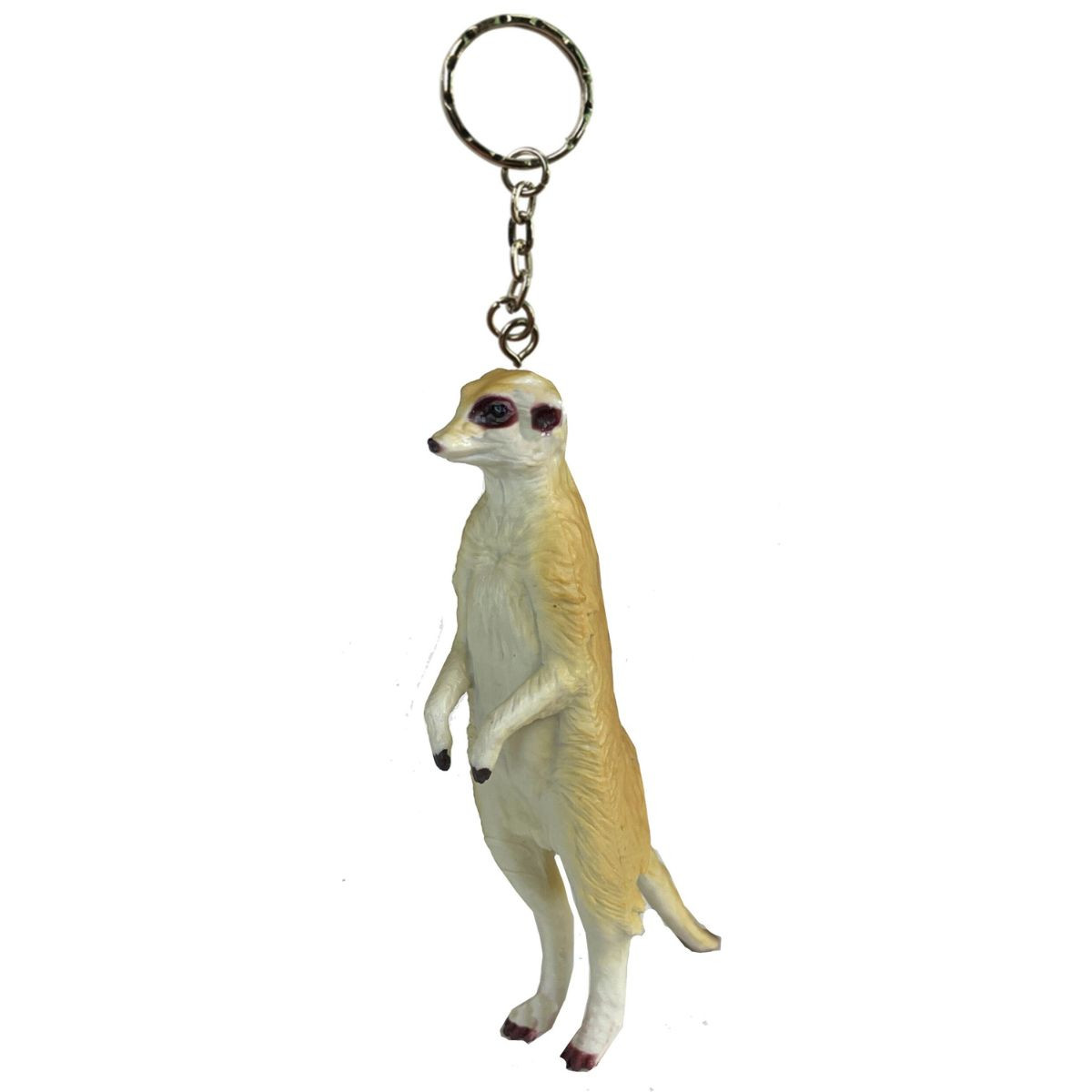 Mojo Meerkat 387125 | Wildlife