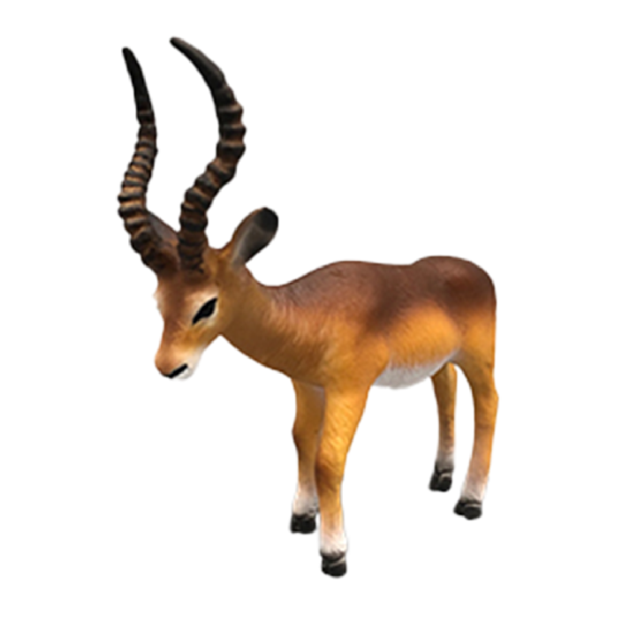 Bullyworld Impala Antelope | MiniZoo Model Wild Animals