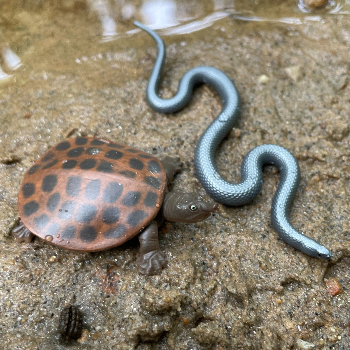 Safari Ltd Everglades Toob | MiniZoo Animal Set