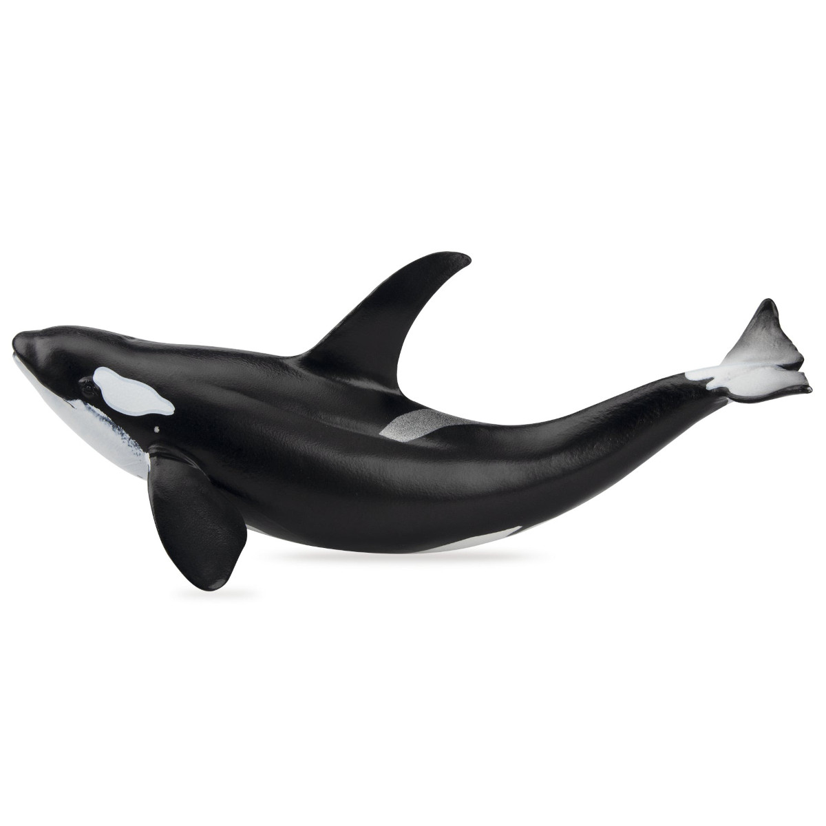 Toymany Orca | Realistic Sealife Figurines