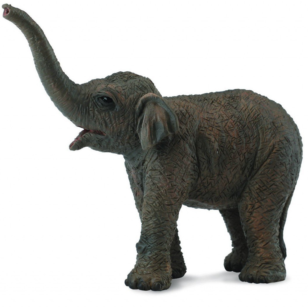 CollectA Asian Elephant 88486 | Wild Life