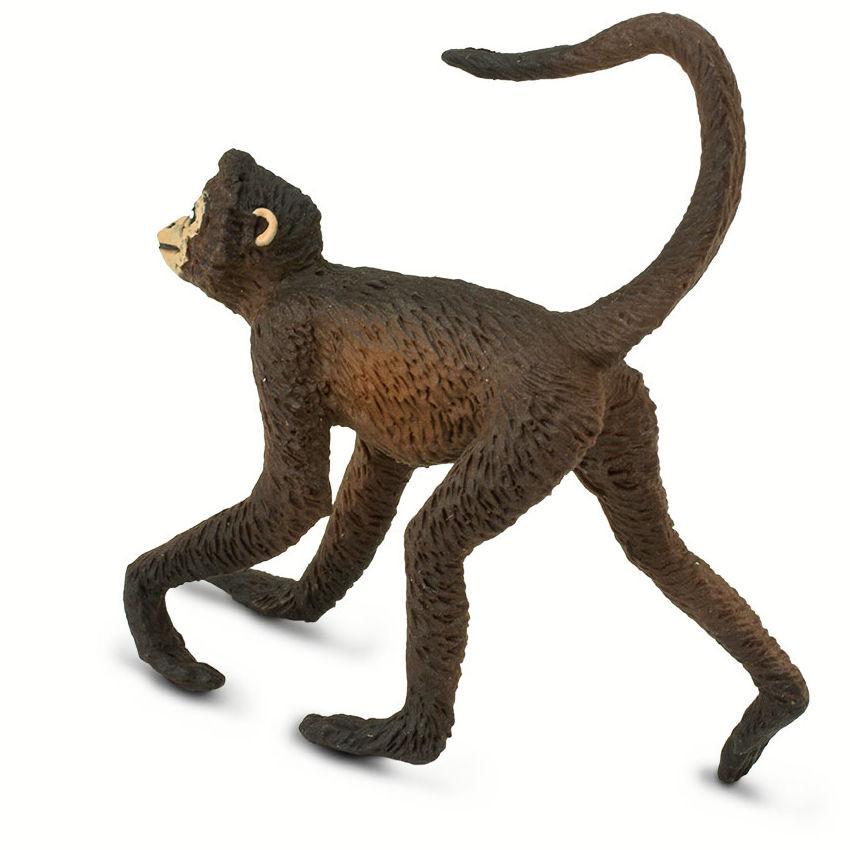 Safari Ltd Spider Monkey 291629 | Wildlife