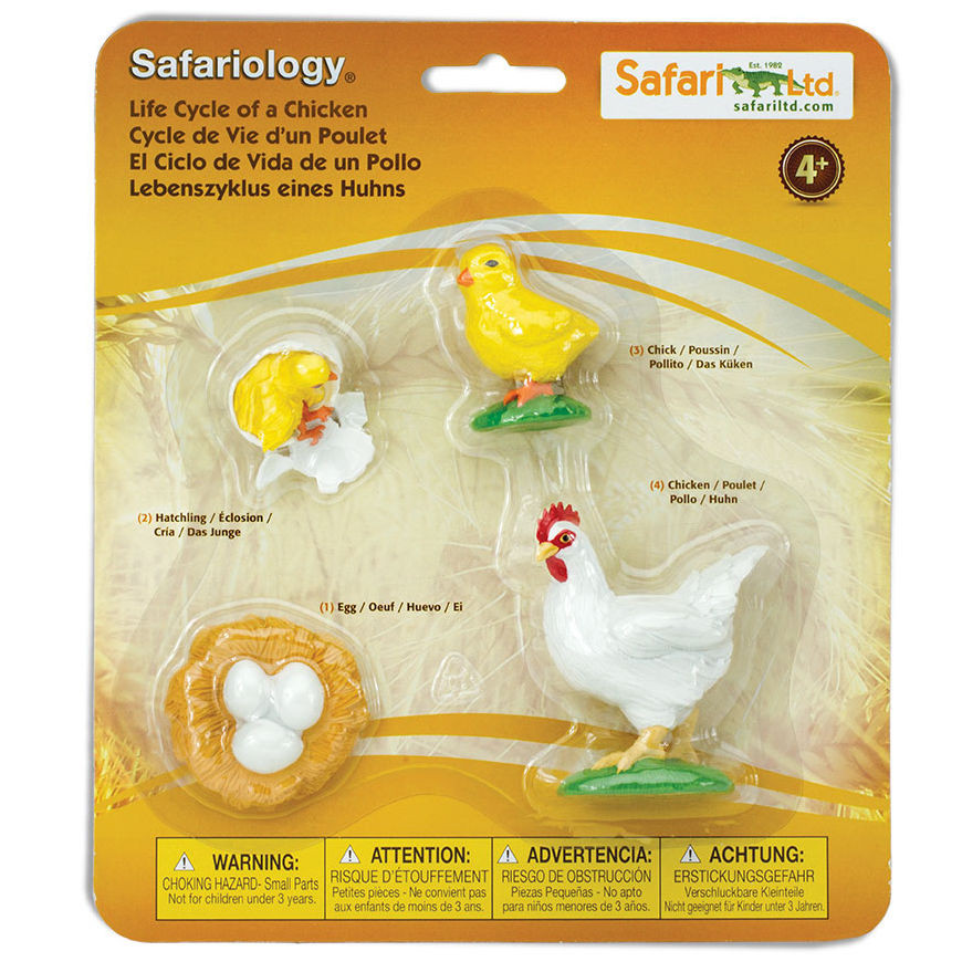 Safari Ltd Life Cycle of a Chicken 662816