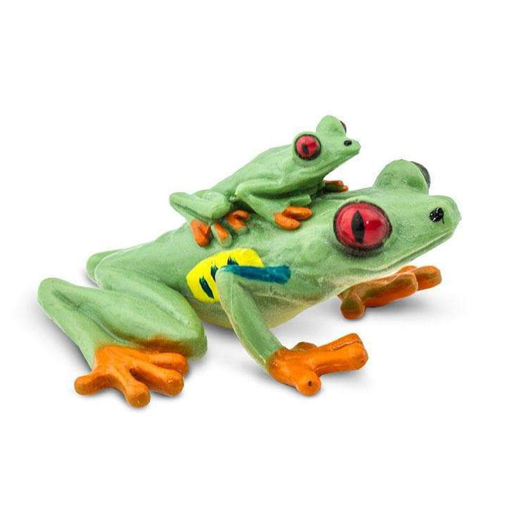 CollectA Red Eyed Tree Frog 88386 | Wild Life