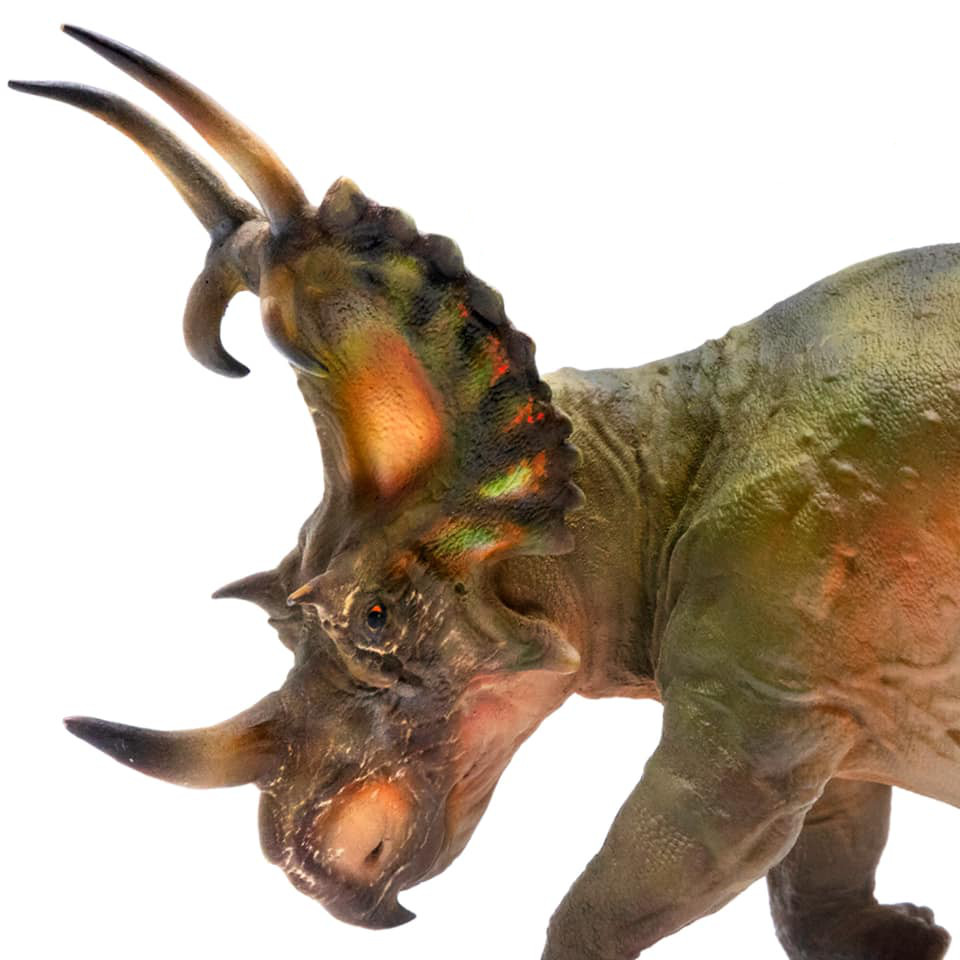 PNSO Duke the Spinops 102016