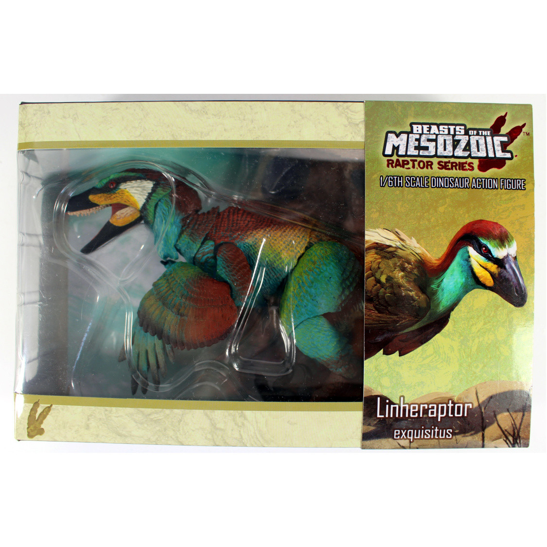 Linheraptor Exquisitus Series 2 | Creative Beast Studio