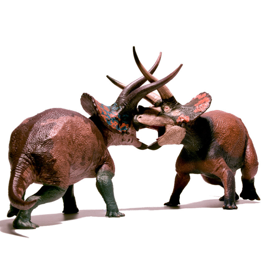 EoFauna Triceratops sp Dominant EO006A