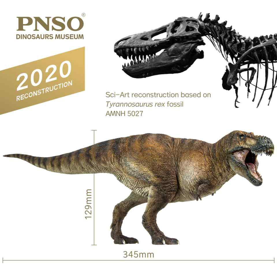 PNSO Wilson The Tyrannosaurus Rex | MiniZoo Dinosaur