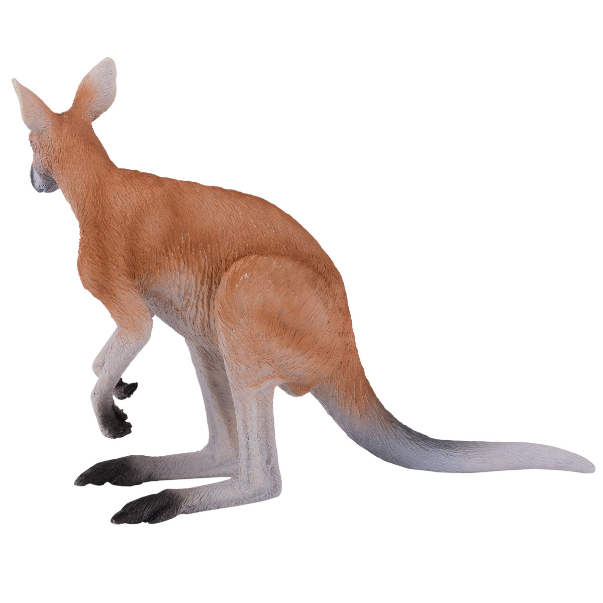 Mojo Kangaroo Male | MiniZoo Australian Animals