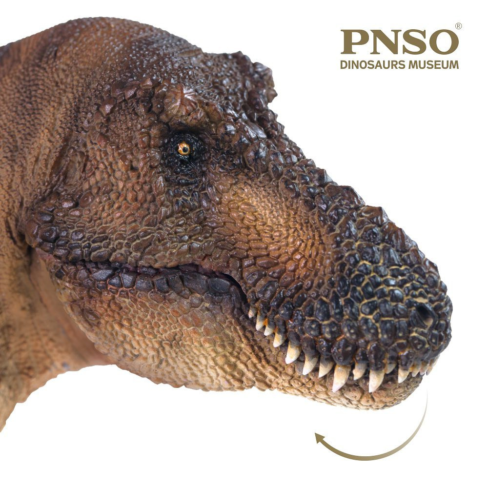 PNSO Andrea the Female Tyrannosaurus | MiniZoo Dinosaurs
