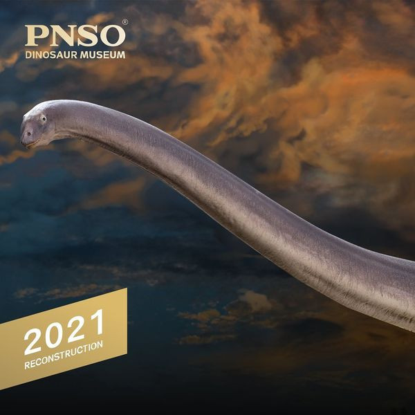 PNSO Er-Ma the Mamenchisaurus 2021 | MiniZoo Dinosaurs