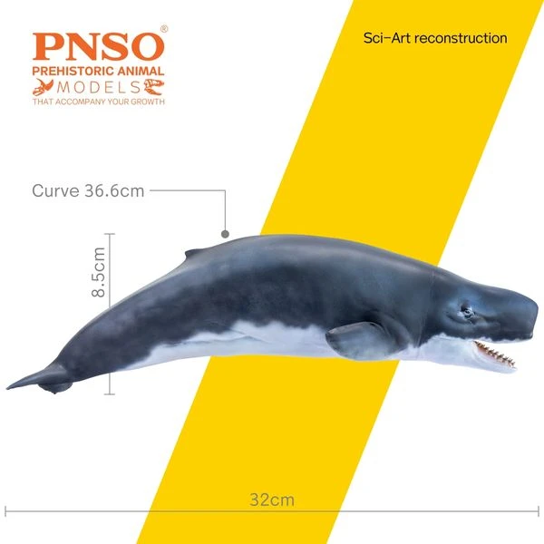 PNSO Requena the Livyatan | MiniZoo Prehistoric Marine Creatures