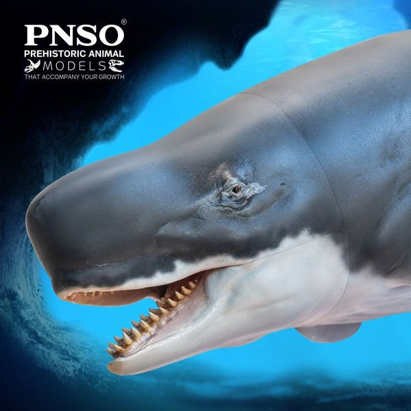 PNSO Requena the Livyatan | MiniZoo Prehistoric Marine Creatures