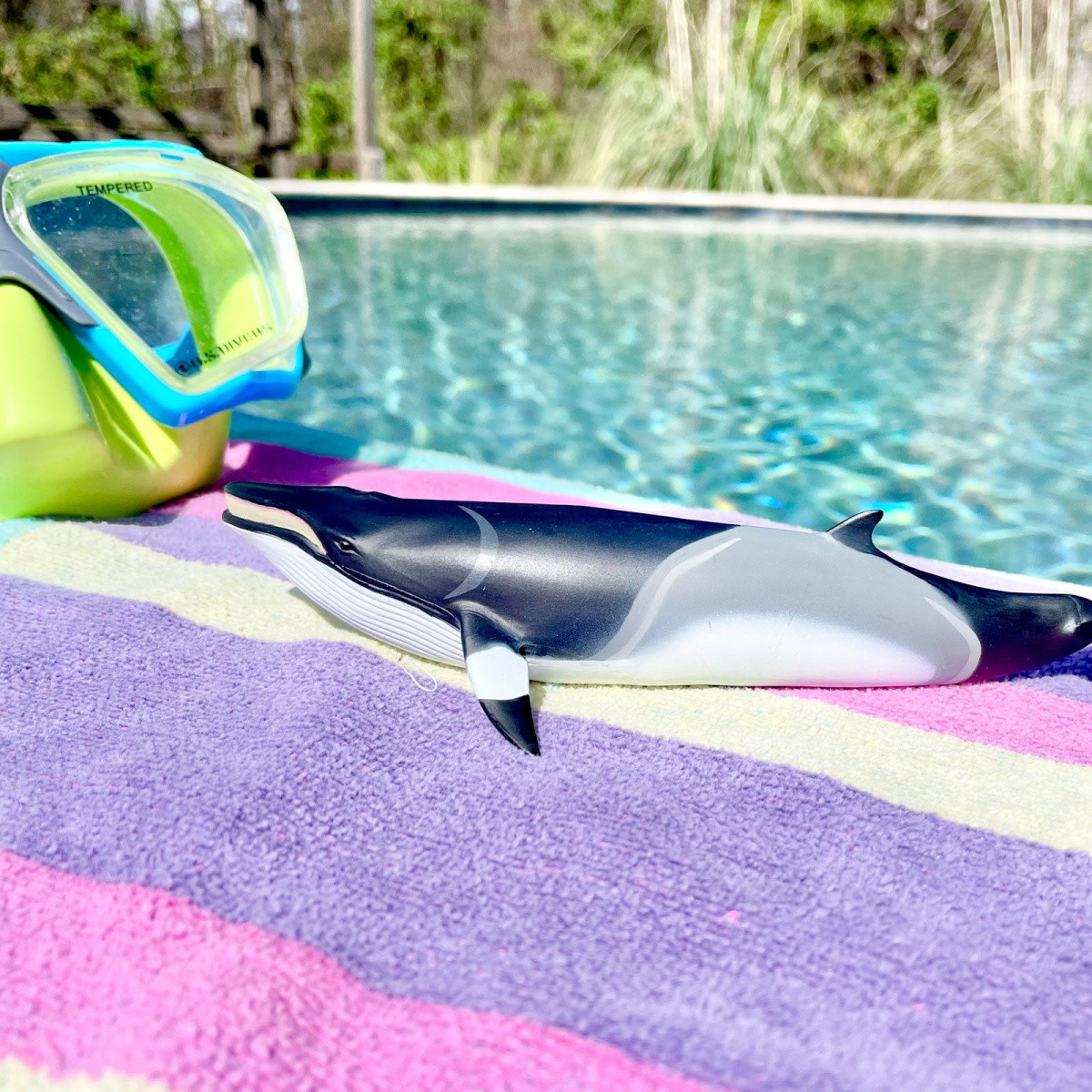 Safari Ltd Minke Whale | MiniZoo Ocean Figurines