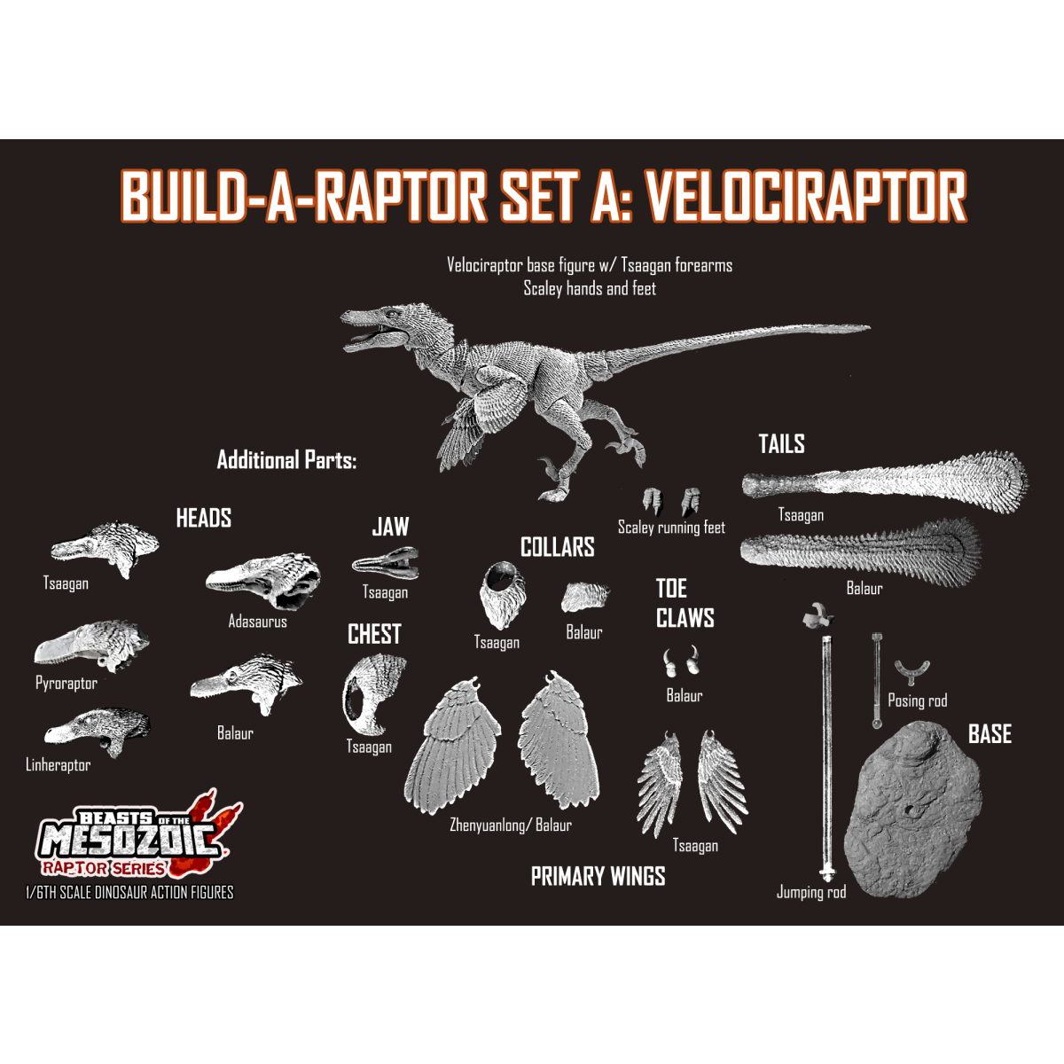 Creative Beast Studio Build-a-Raptor Set A: Velociraptor 1:6 Scale ...