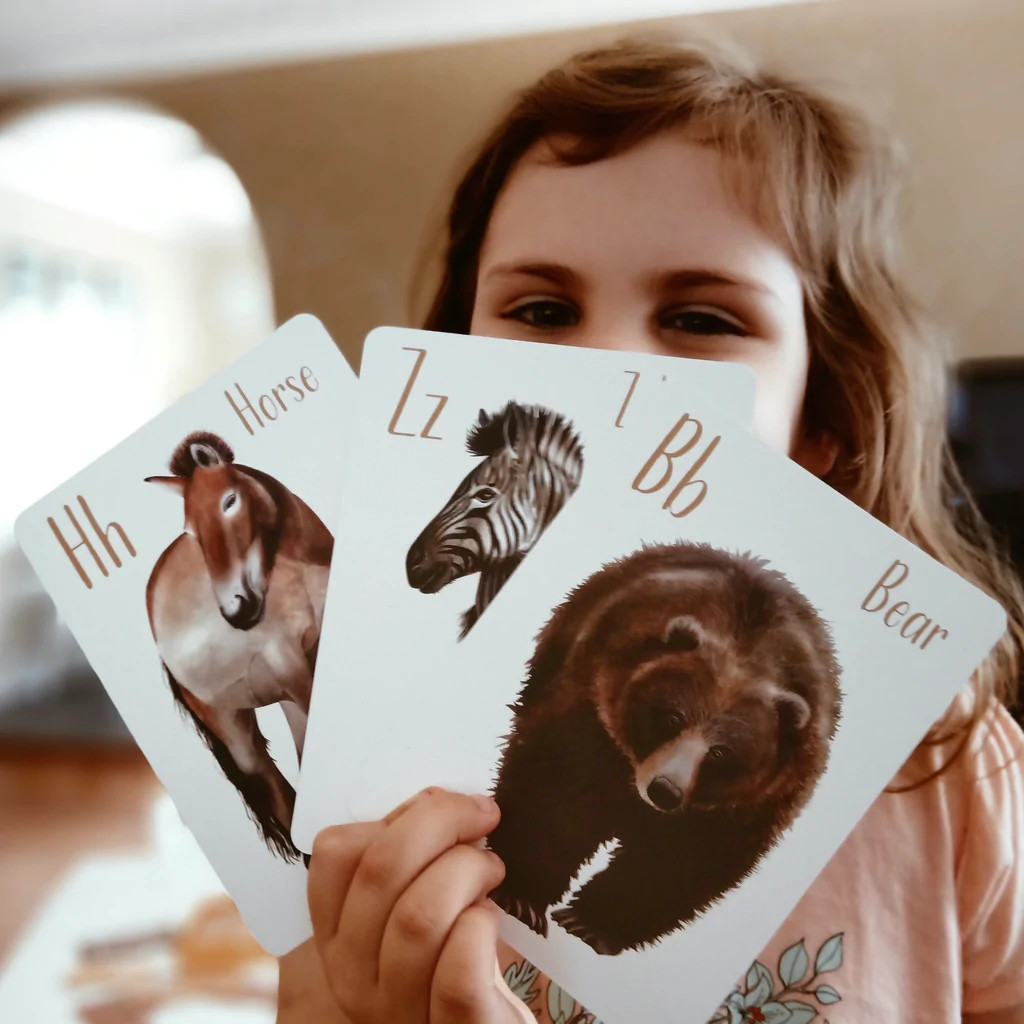 Animal Alphabet Flash Cards | MiniZoo Modern Monty