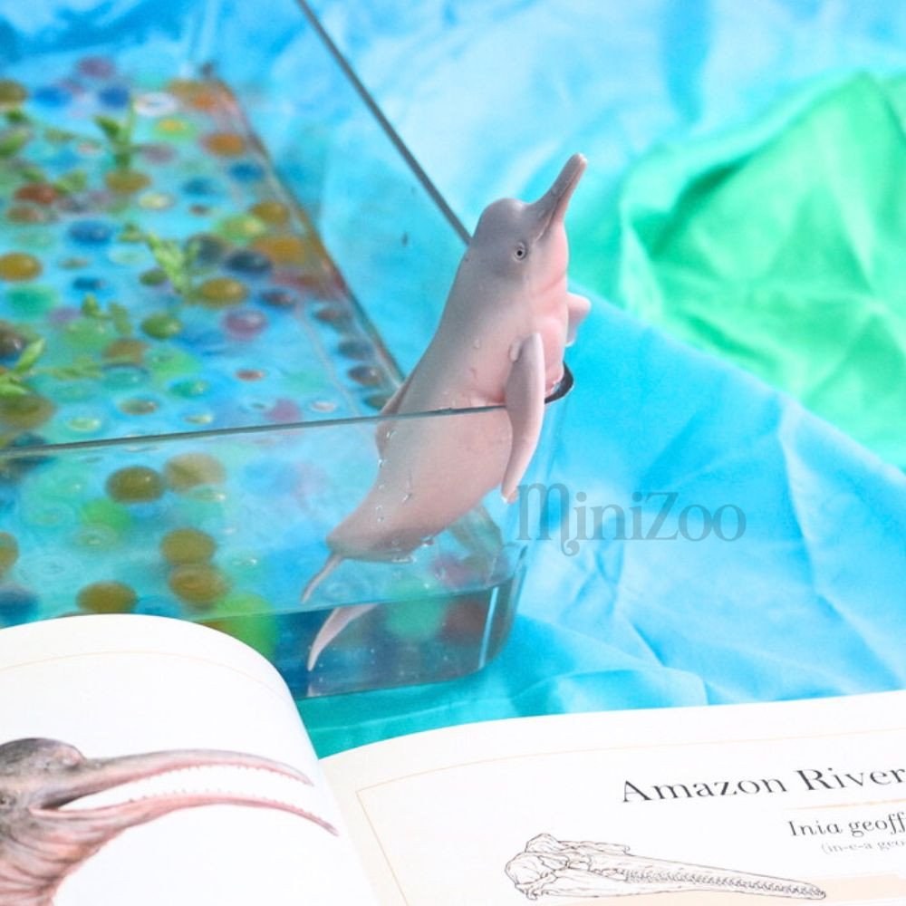 CollectA Amazon River Dolphin | Amazon Animal Toys