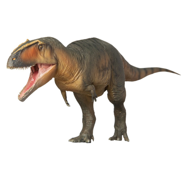 PNSO Lucas the Giganotosaurus | MiniZoo Realistic Model Dinosaurs