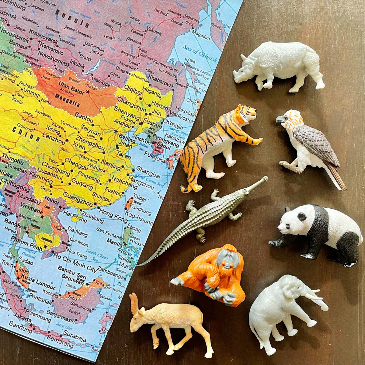 Safari Asian Animals Toob | MiniZoo Model Animals