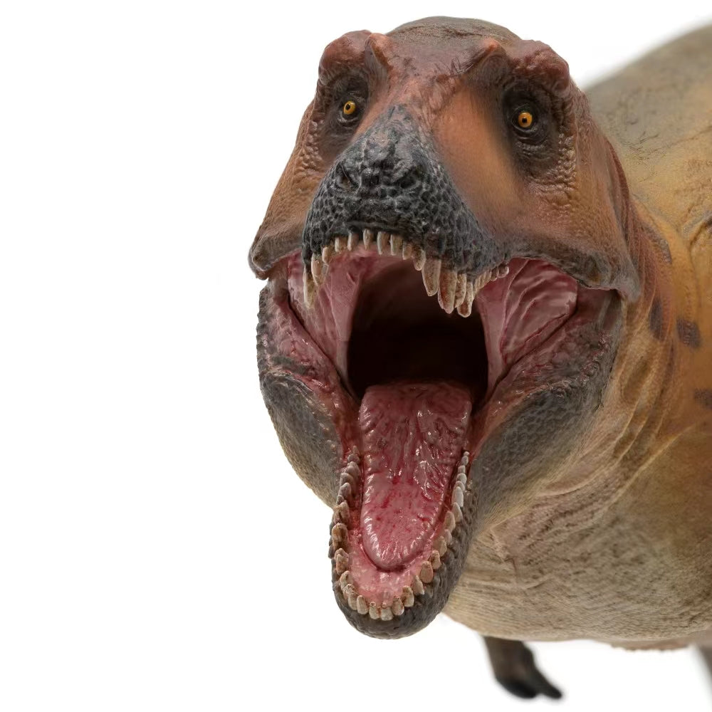 PNSO Keynes the Lythronax | MiniZoo Dinosaurs