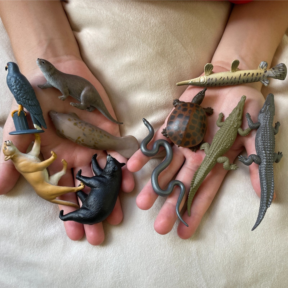 Safari Ltd Everglades Toob | MiniZoo Animal Set