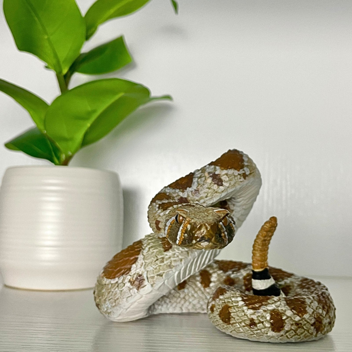 Safari Ltd Western Diamondback Rattlesnake IC | MiniZoo Models