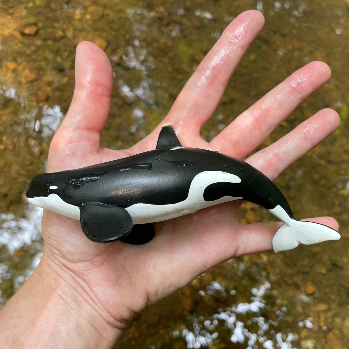 Safari Ltd Type D Orca | MiniZoo Ocean Models