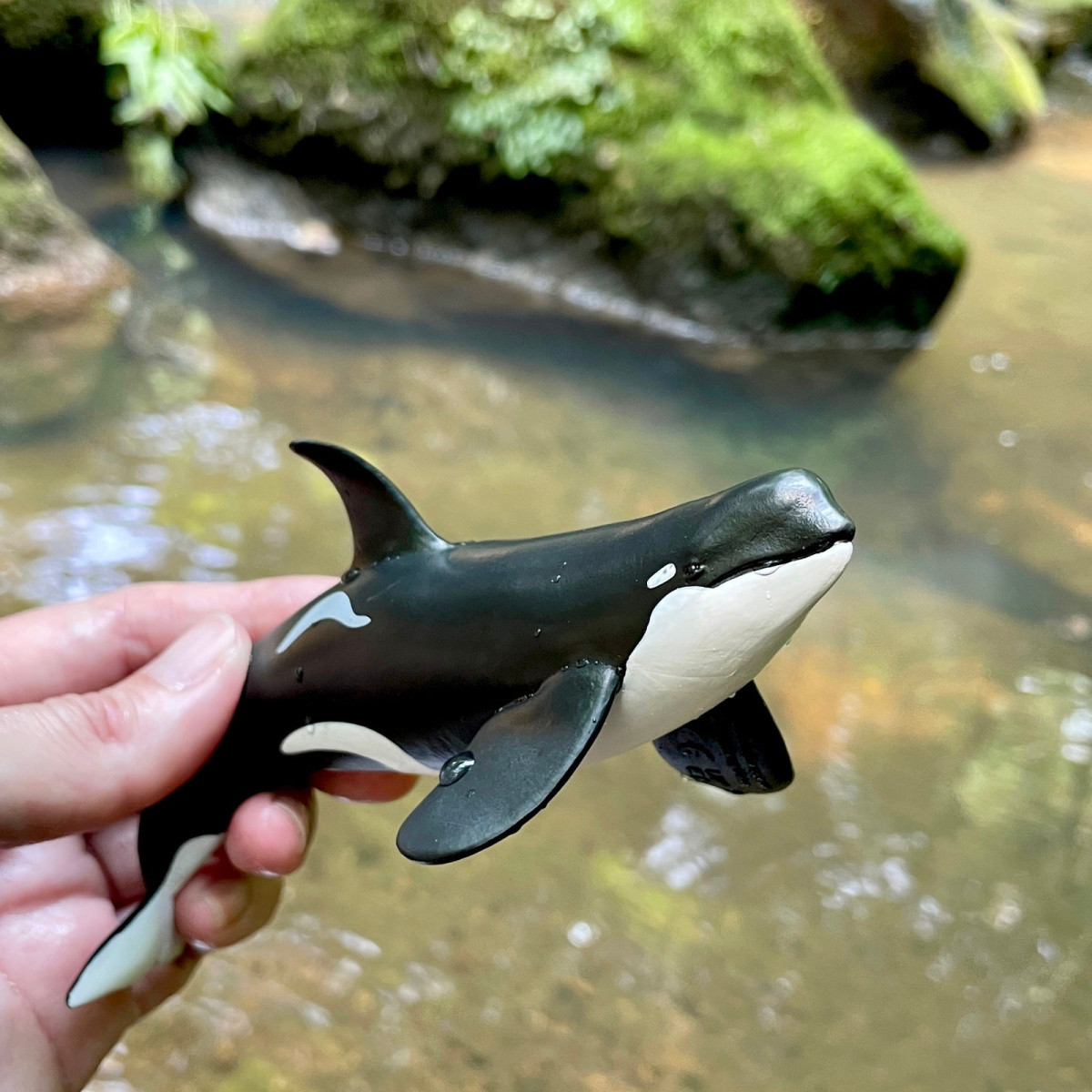 Safari Ltd Type D Orca | MiniZoo Ocean Models