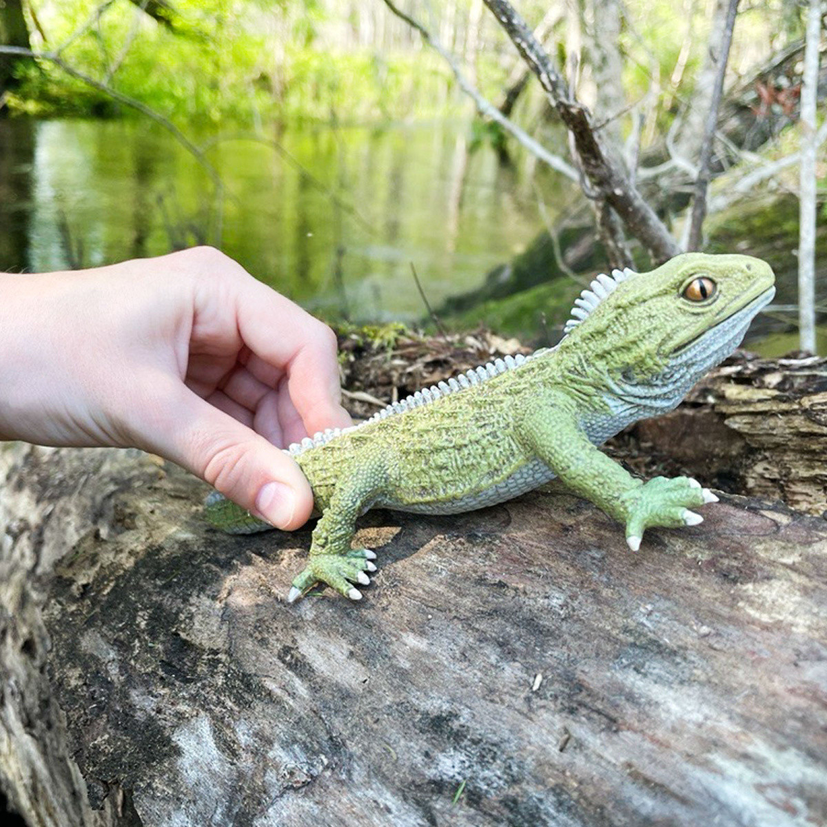 Safari Ltd Tuatara IC | MiniZoo Wild Animal Models