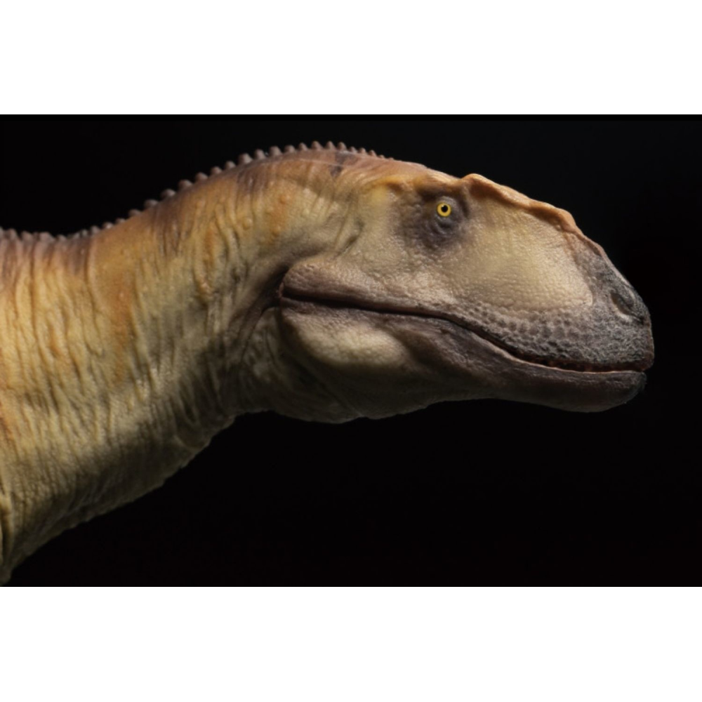 PNSO Dayong the Yangchuanosaurus Shangyouensis | MiniZoo Model Dinosaurs