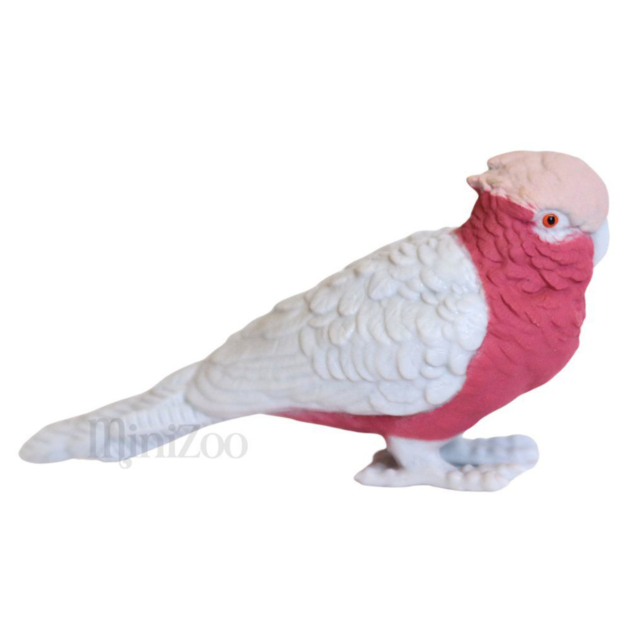 Galah Bird Figurine Science And Nature Australian Birds