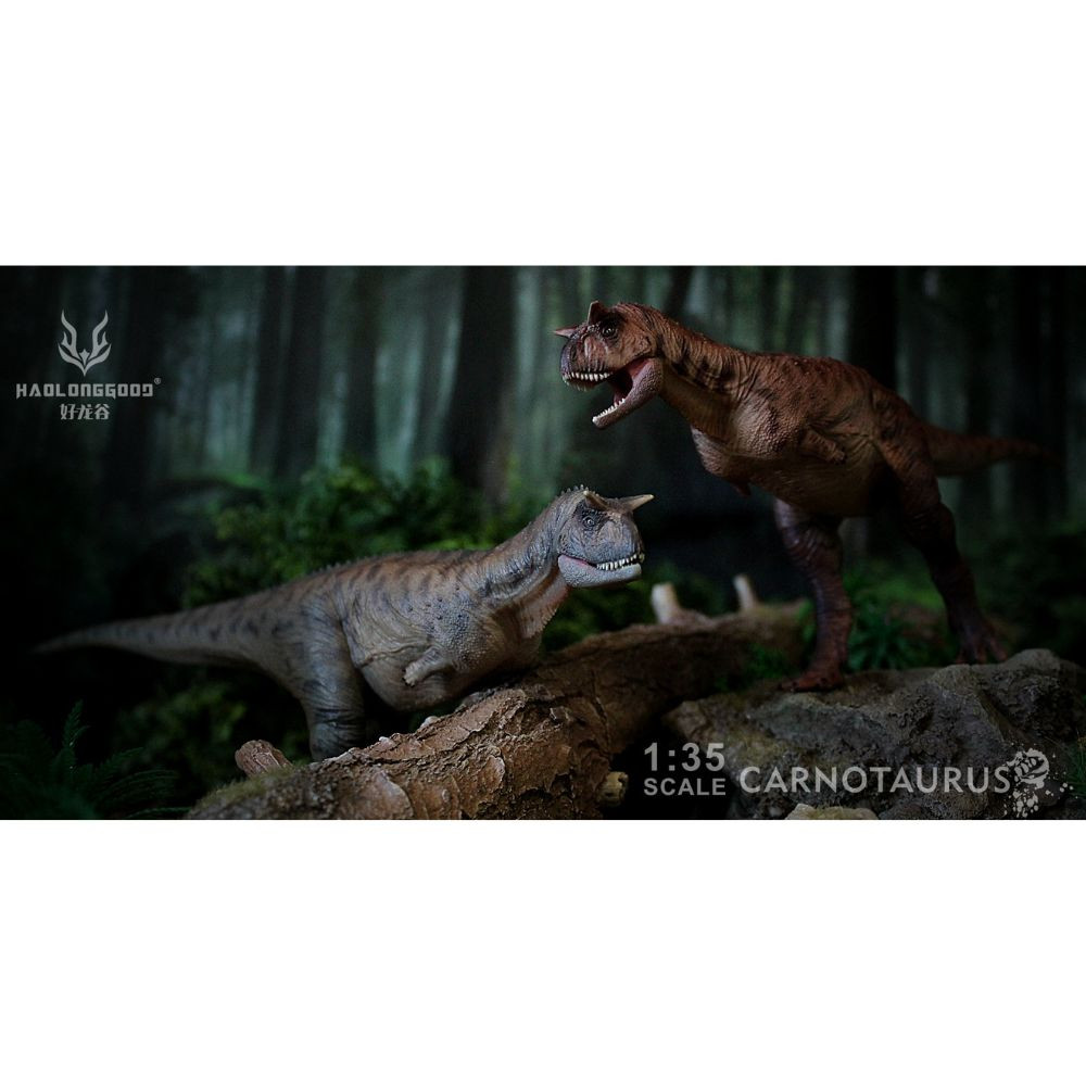 Haolonggood Carnotaurus Li Zhong | Accurate Carnotaurus Toy Australia