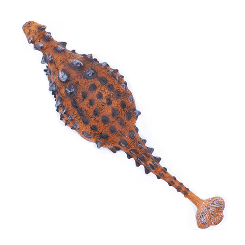 Haolonggood Euoplocephalus Shi Biao | Accurate Euoplocephalus Toy Australia