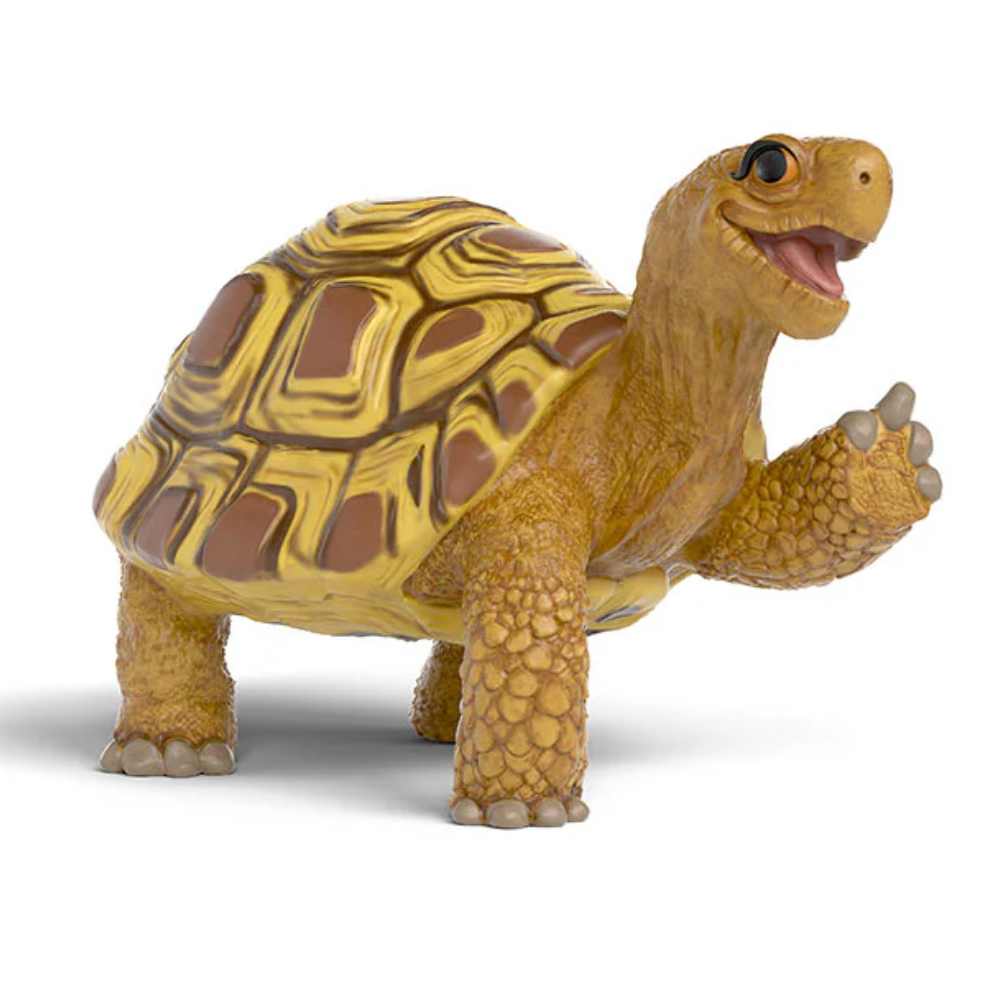 Schleich Henrietta the Tortoise | The School of Magical Animals ...