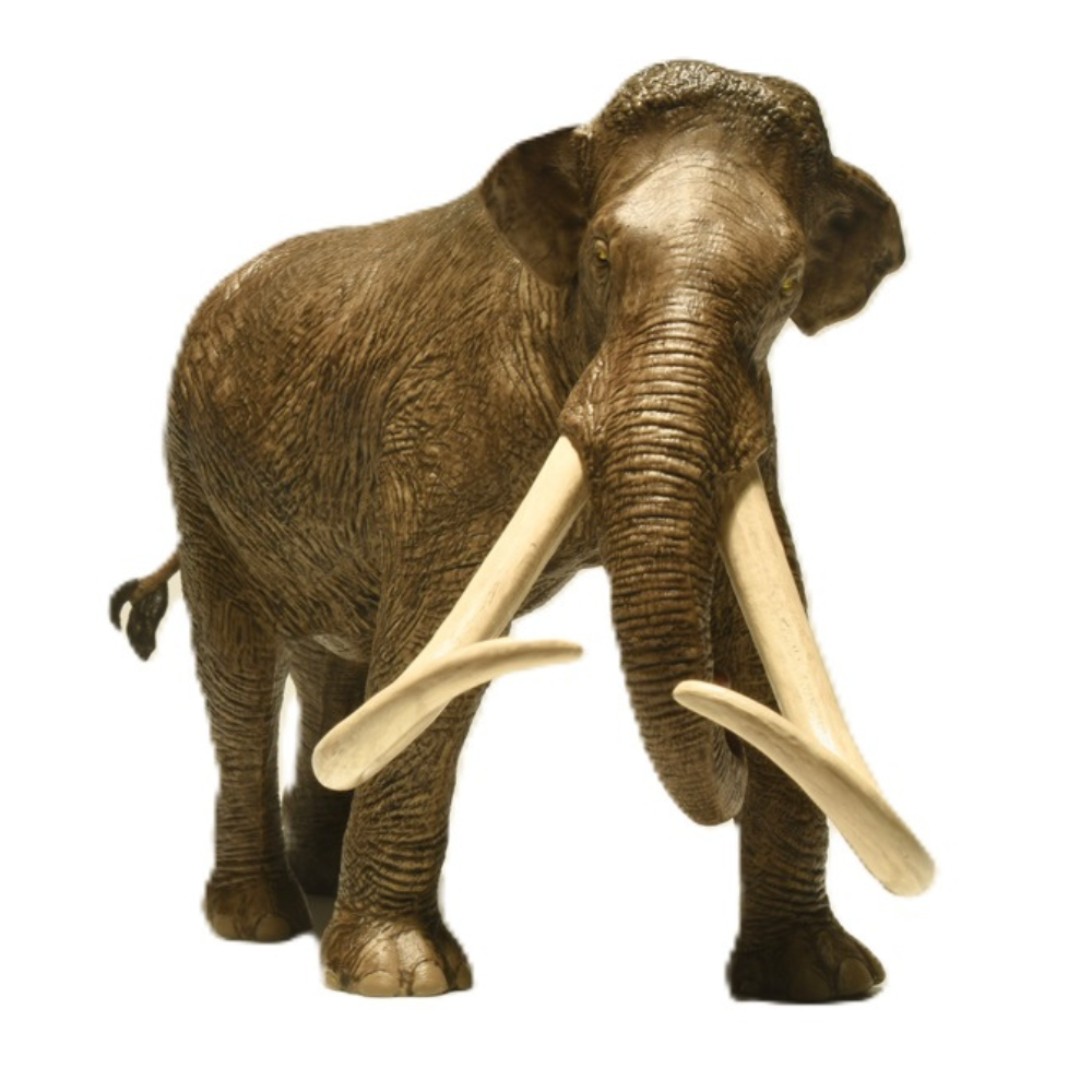 Eofauna Columbian Mammoth | Proboscidean Figurines Australia