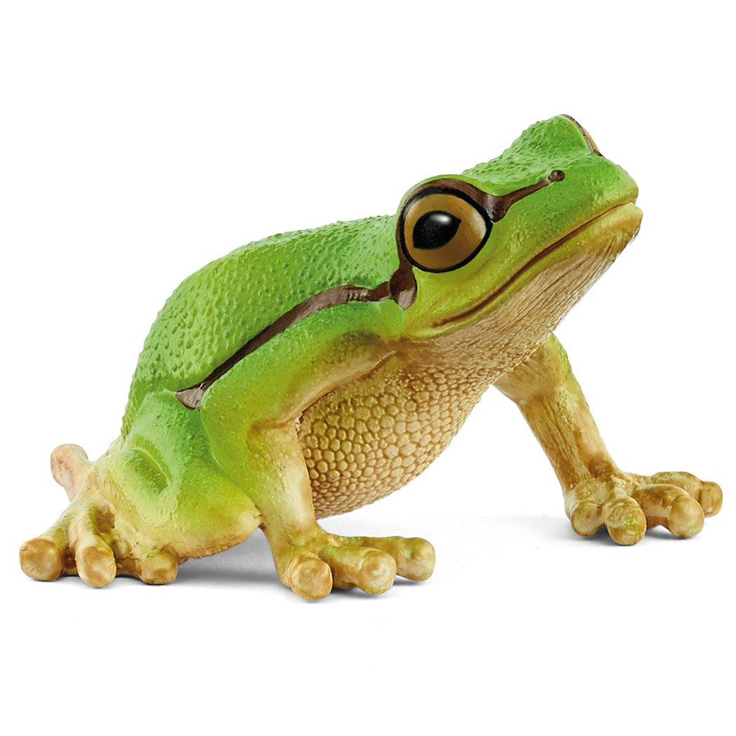 Schleich European Tree Frog 14882 | Schleich Wildlife Toys