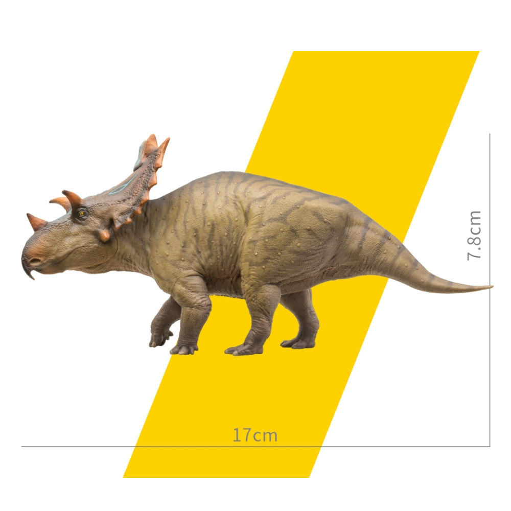 PNSO Judith the Spiclypeus | Lifelike Prehistoric Replicas Australia