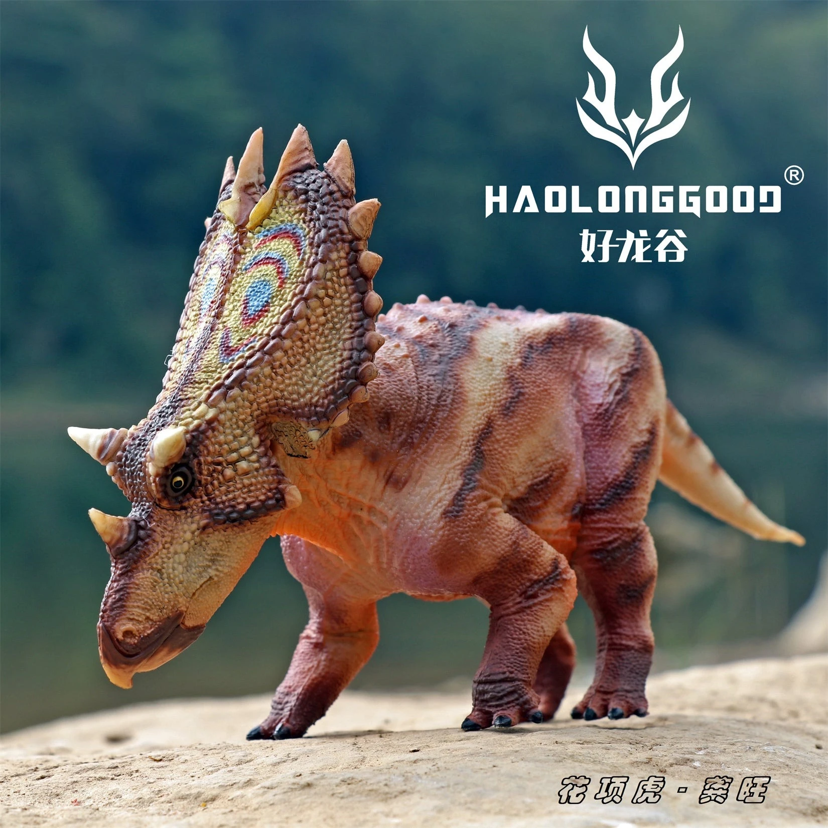 Haolonggood Utahceratops Orange Gong Wang | 1:35 Scale Ceratopsian Models
