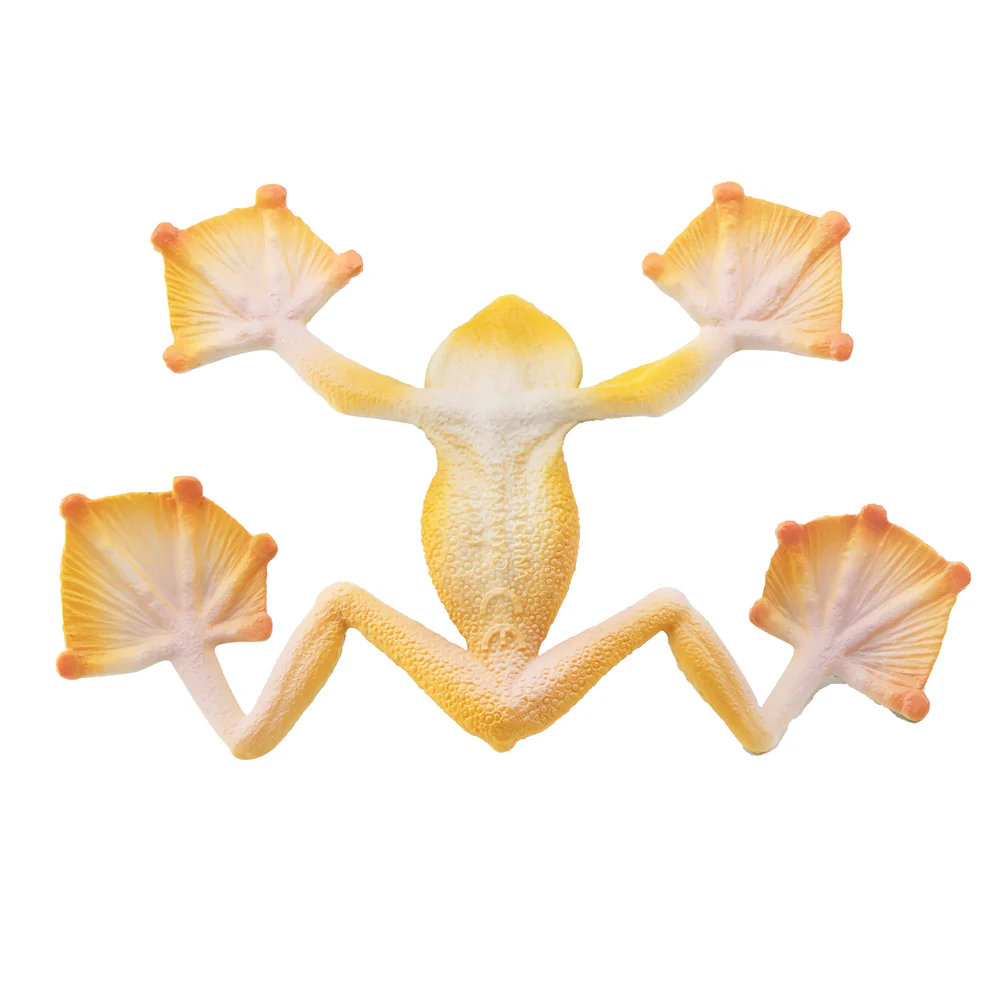 Toymany Wallaces Flying Frog | Realistic Frog Figurines