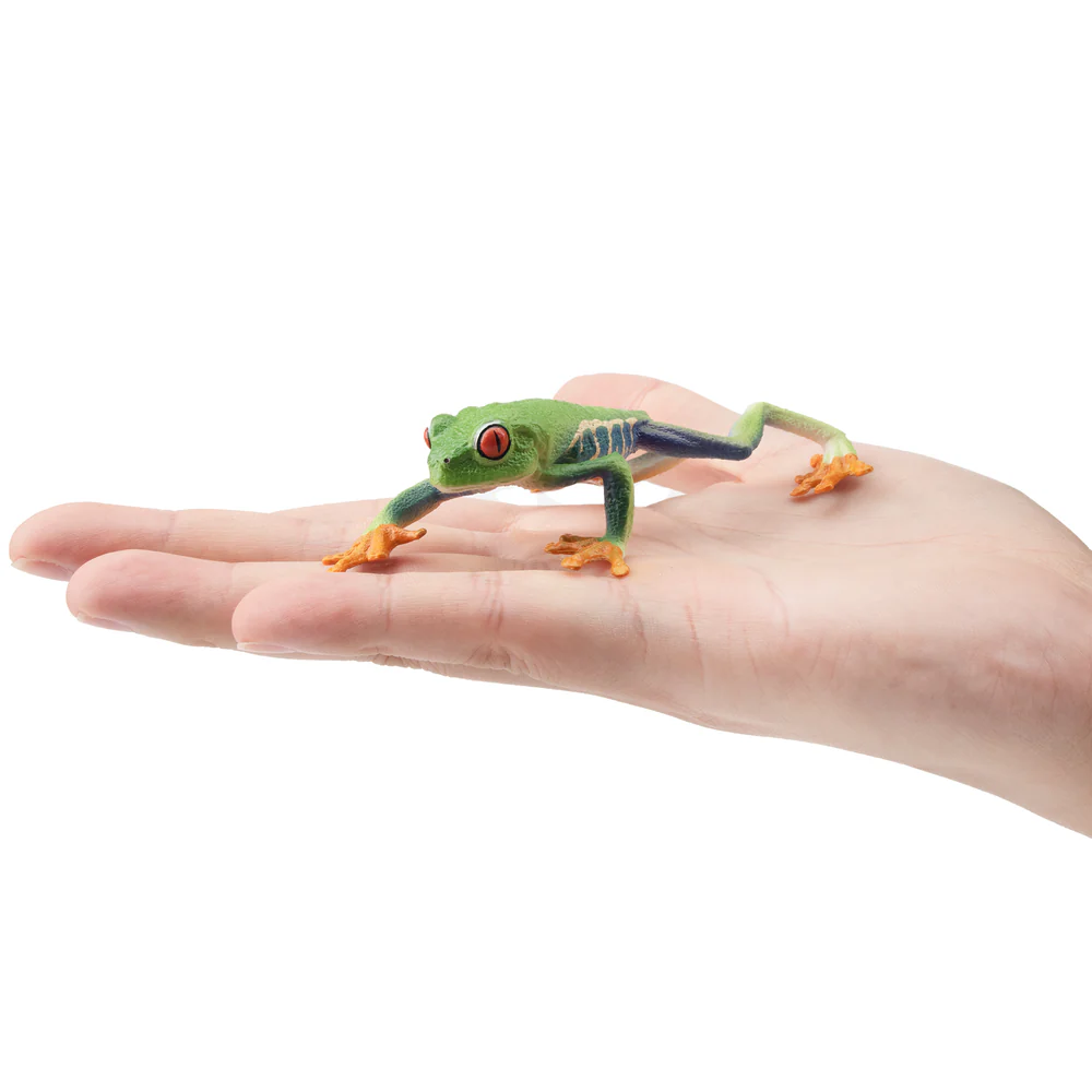 Toymany Red-Eyed Tree Frog | Realistic Frog Figurines