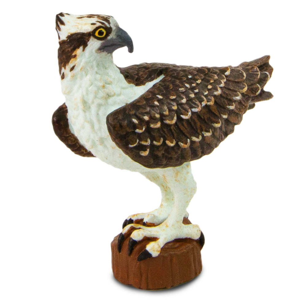 Safari Ltd Osprey | Safari Ltd Bird Figurines