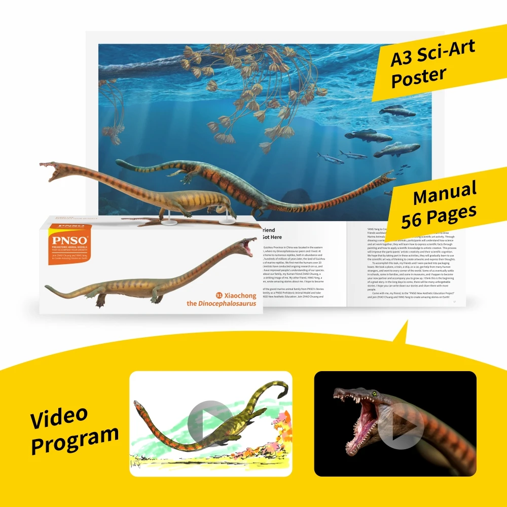 PNSO Xiaochong the Dinocephalosaurus | Prehistoric Marine Replicas