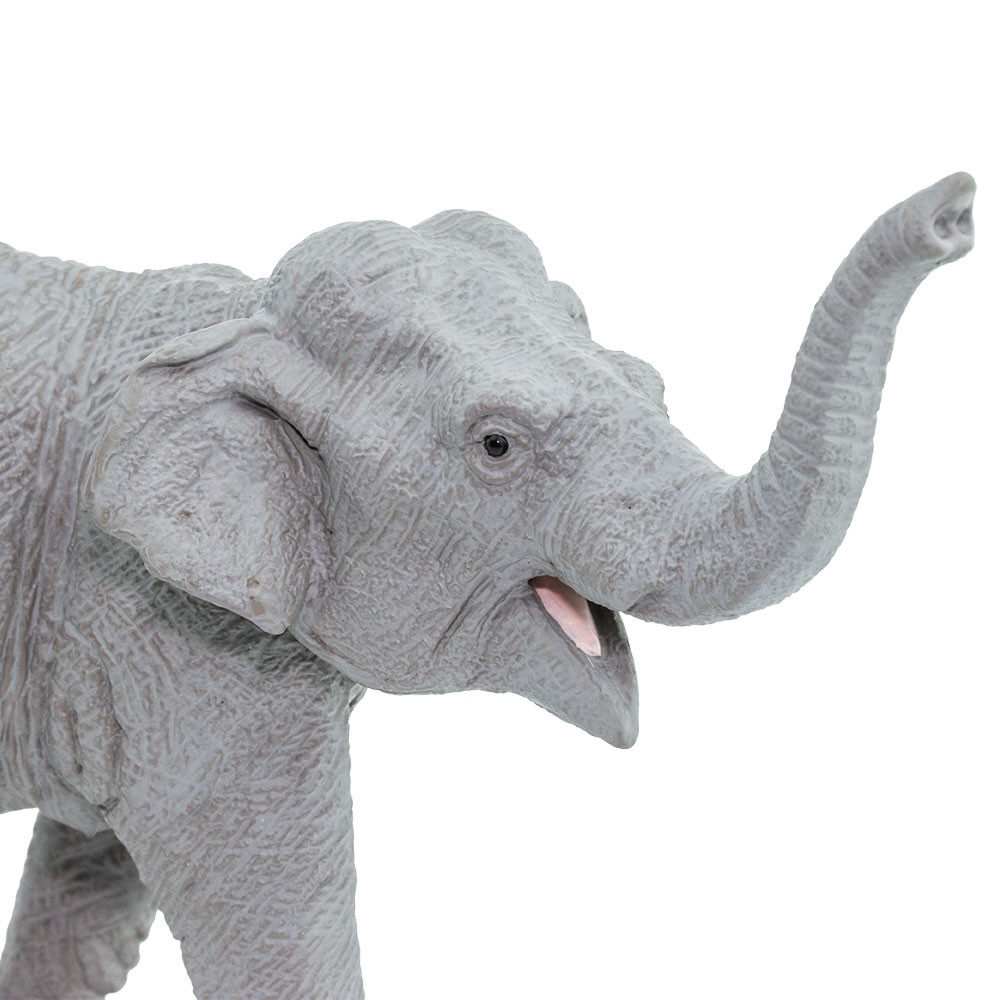 Safari Ltd Asian Elephant 227529 | Wildlife
